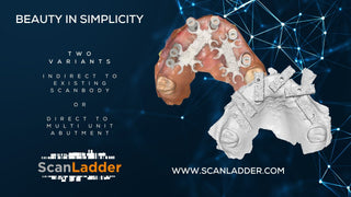 About Us – Scan Ladder