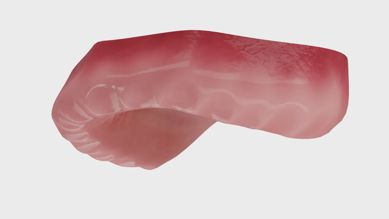 Work Flow – Scan Ladder